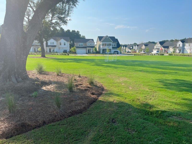 Heron's Walk- Summers Corner Homes for Sale- Summerville, SC ...